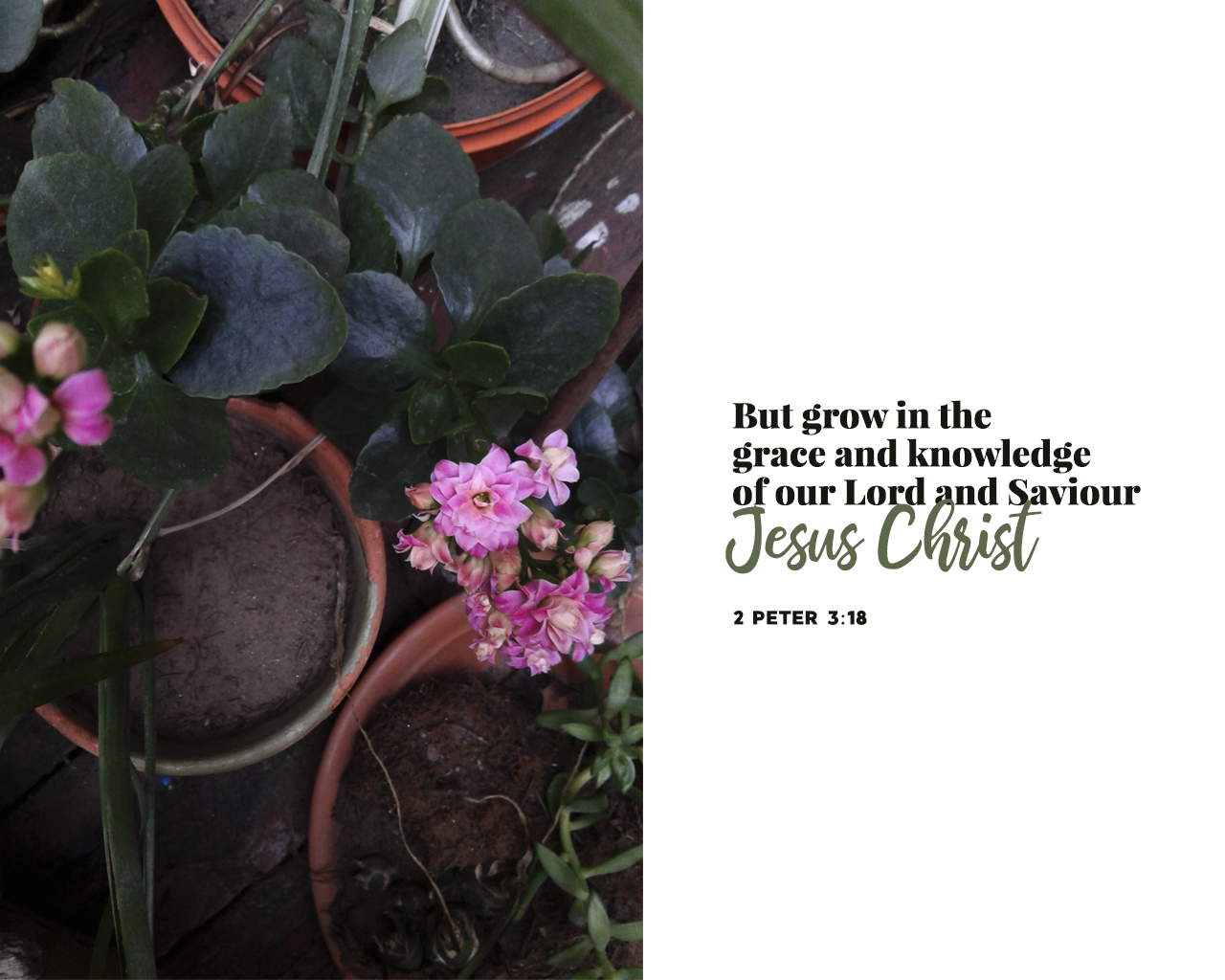 Motto Verse | The Slade Church